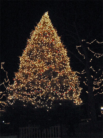 Public Is Invited To Derby’s Tree-Lighting Ceremony On Friday - Valley ...