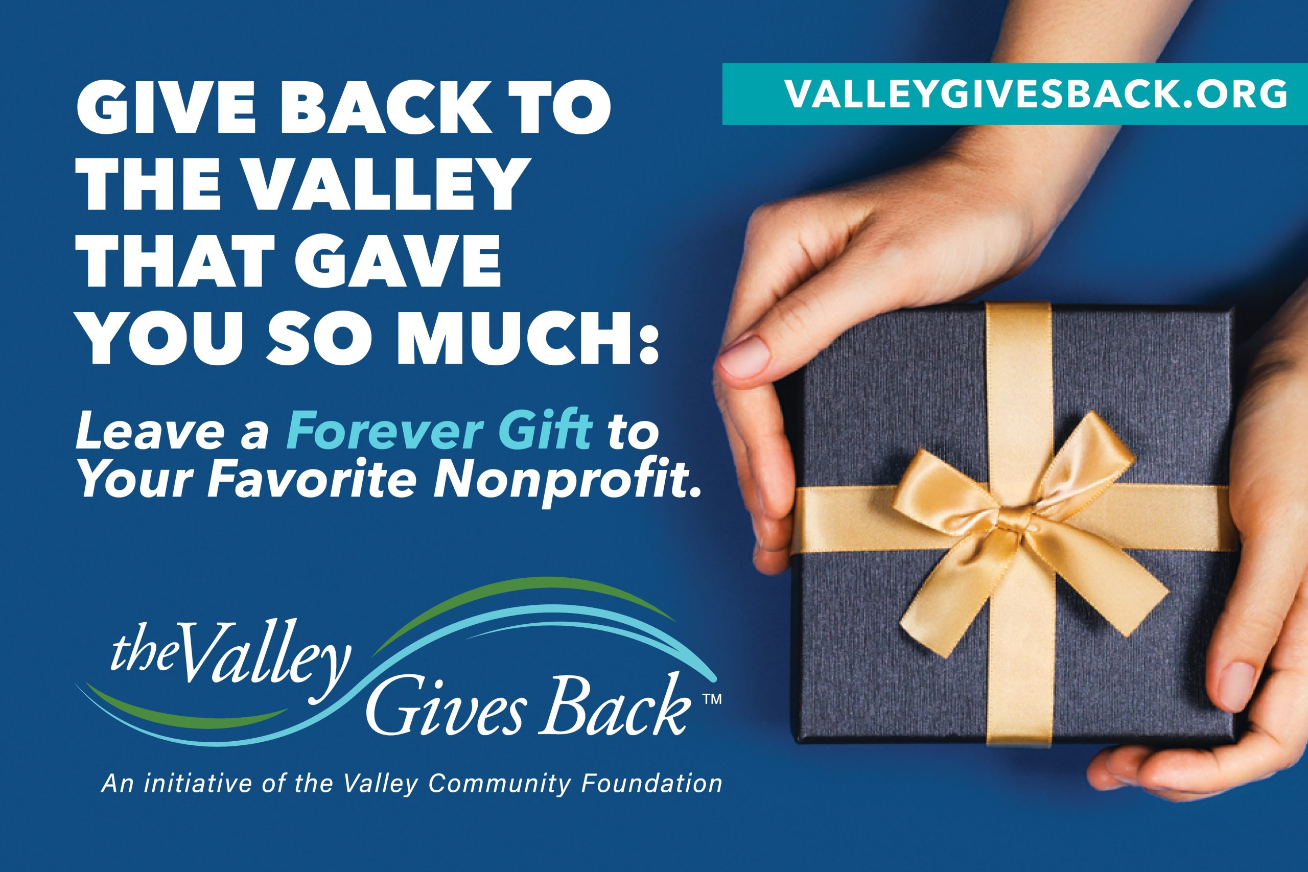 Valley Community Foundation Launches Annual “Valley Gives Back ...